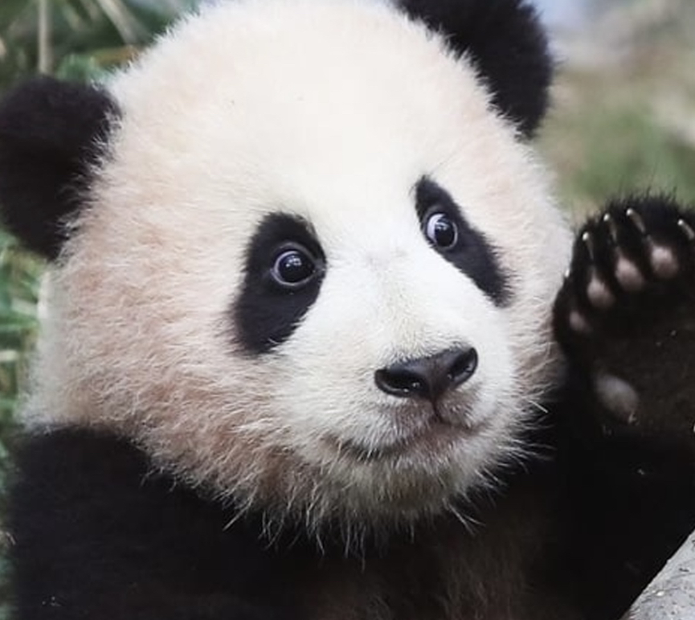 젤리블리 (@jelly.joyo) 님의 게시물 | KREAM