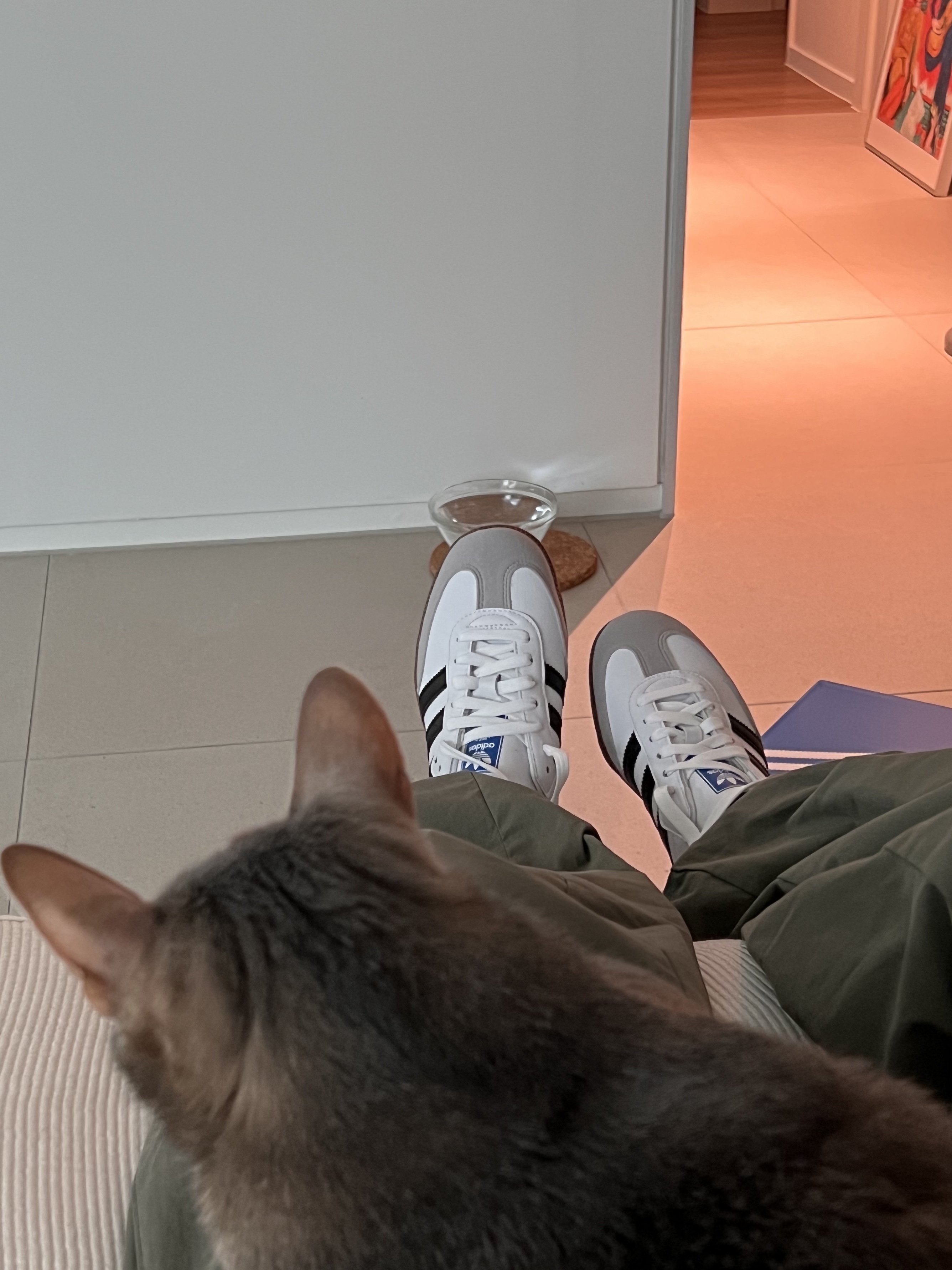 🐛 (@zi_ne) 님의 게시물 | KREAM