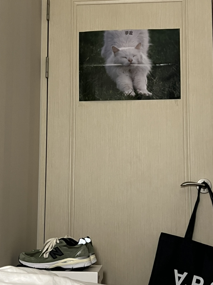 unknown (@kihyun.co.kr) 님의 태그 상품 | KREAM