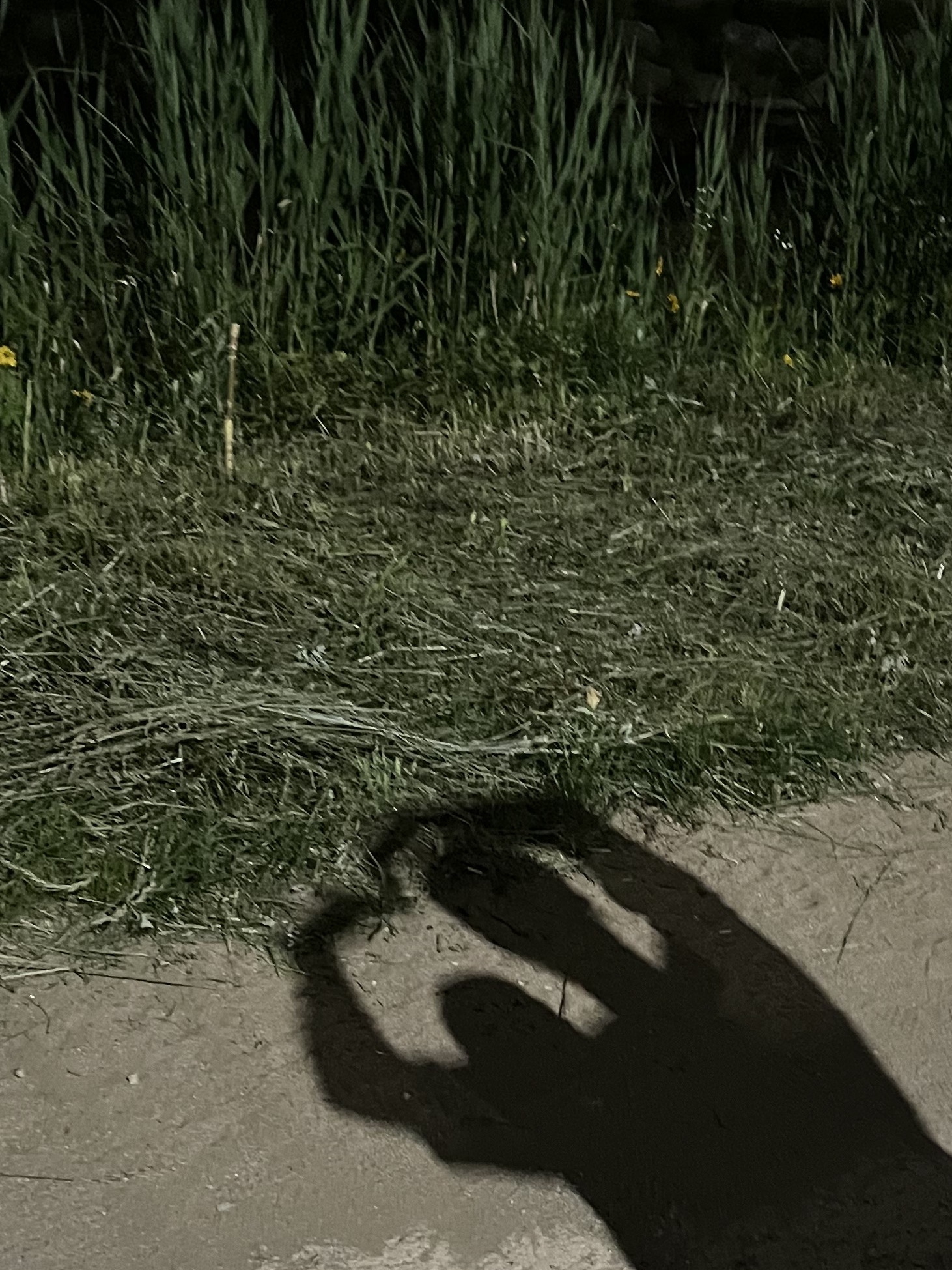 ? (@jhkk__) 님의 게시물 | KREAM