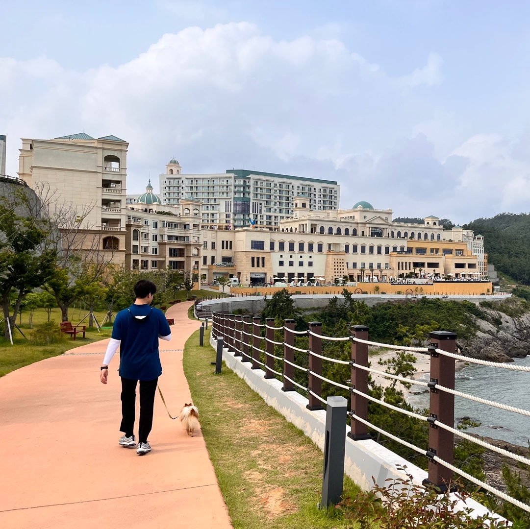 twstat (@sagacity) 님의 게시물 | KREAM