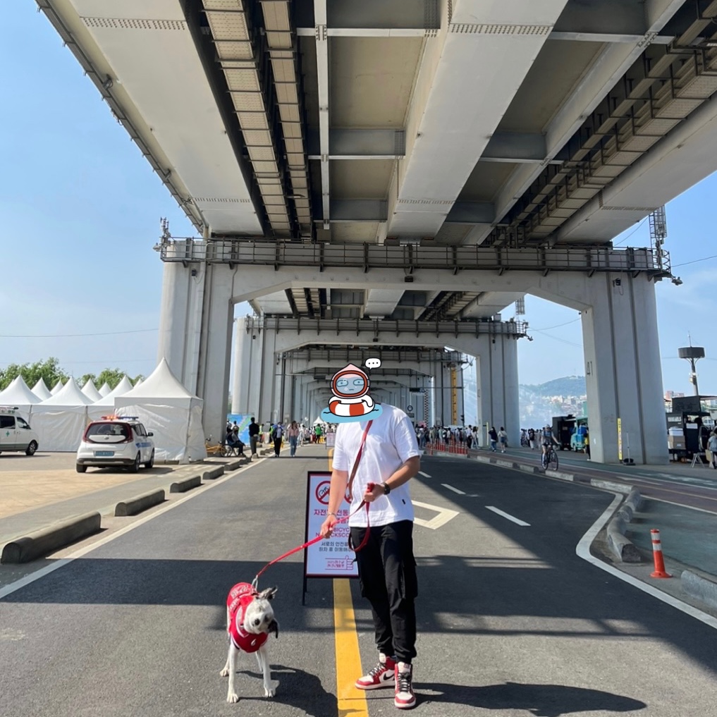 (@mary_luv) 님의 게시물 | KREAM