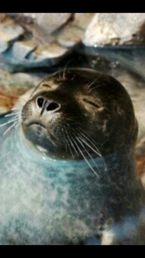 호로리 (@o_woo_ya) 님의 게시물 | KREAM