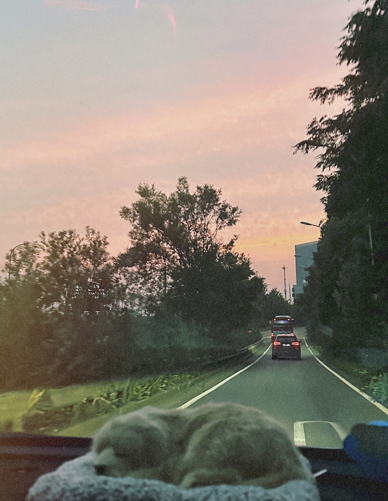 (@yun_self) 님의 게시물 | KREAM