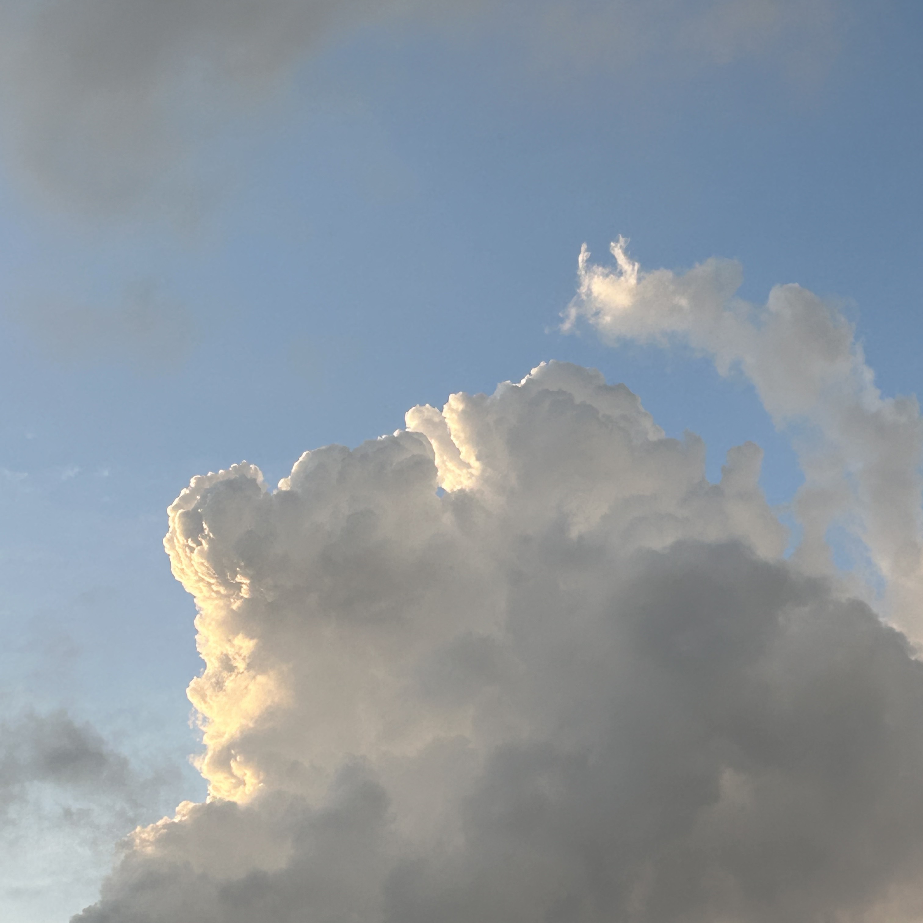 joshuauhn212 (@joshua_uhn_212) 님의 게시물 | KREAM