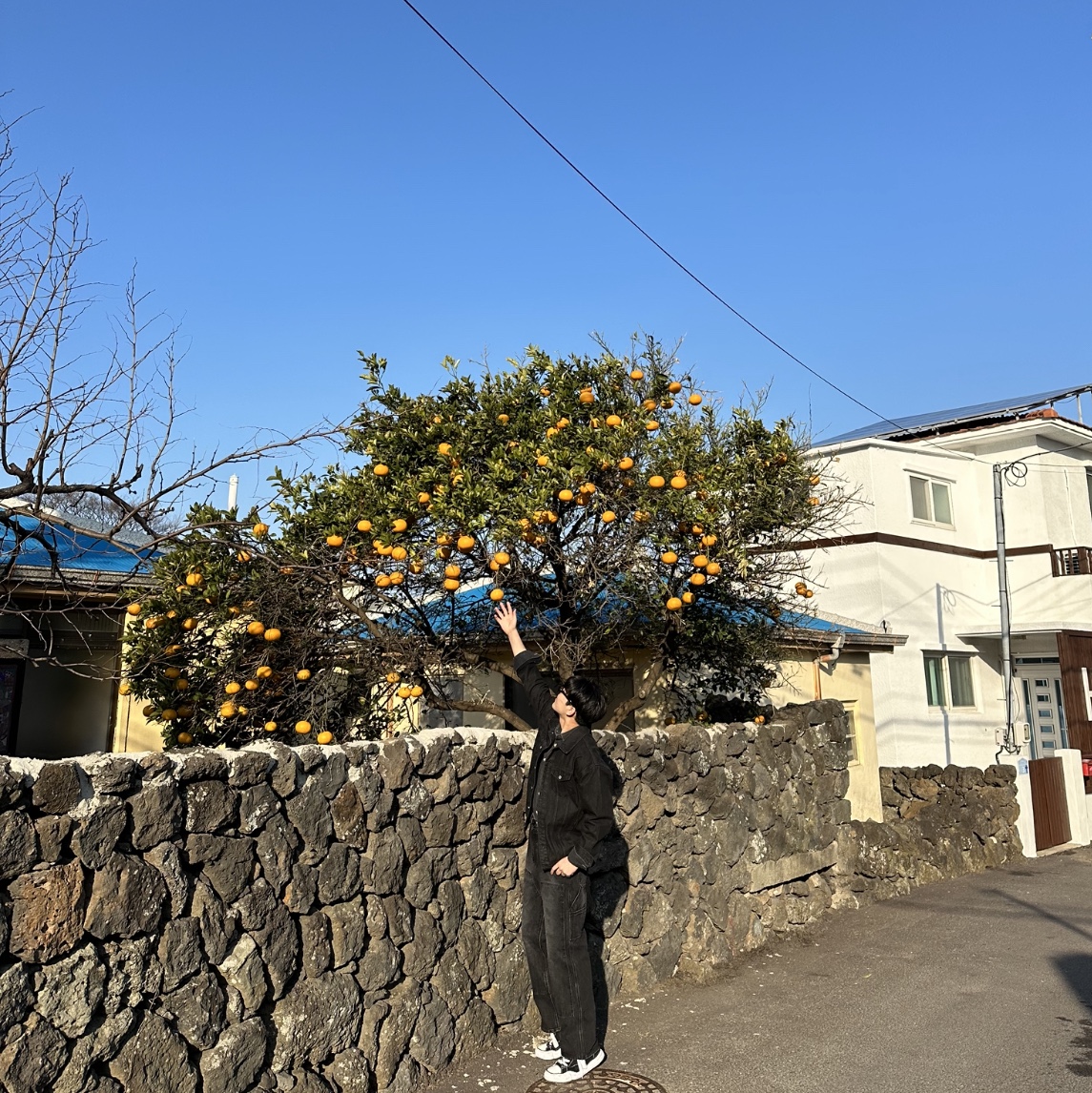 낌꽝 (@hyun._.e02) 님의 게시물 | KREAM