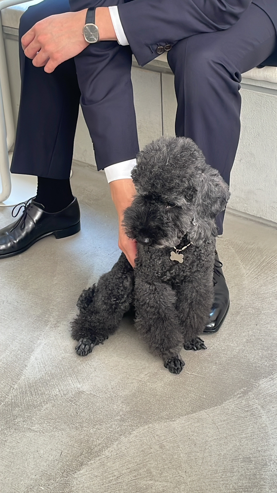 2tsyqf2h8m (@wxyzw9) 님의 게시물 | KREAM