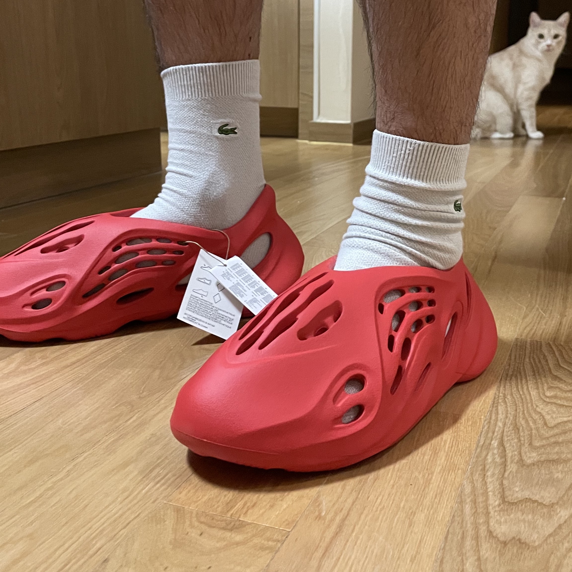 호반베르디움 (@gmt1e0) 님의 게시물 | KREAM