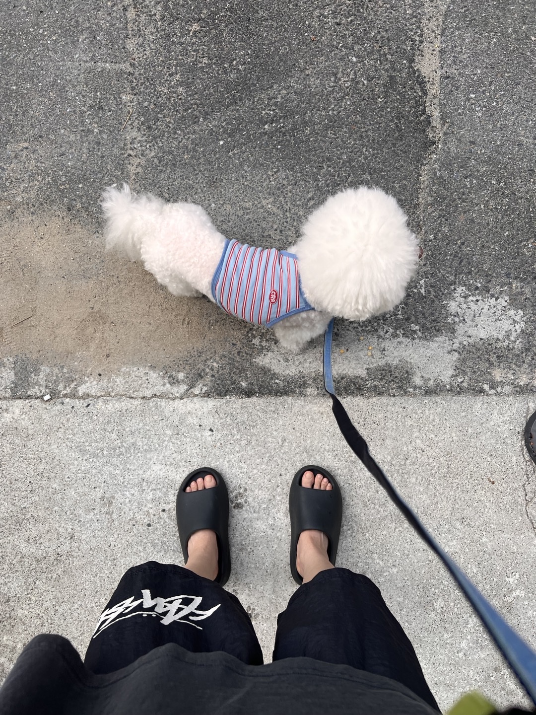 🐛 (@zi_ne) 님의 게시물 | KREAM