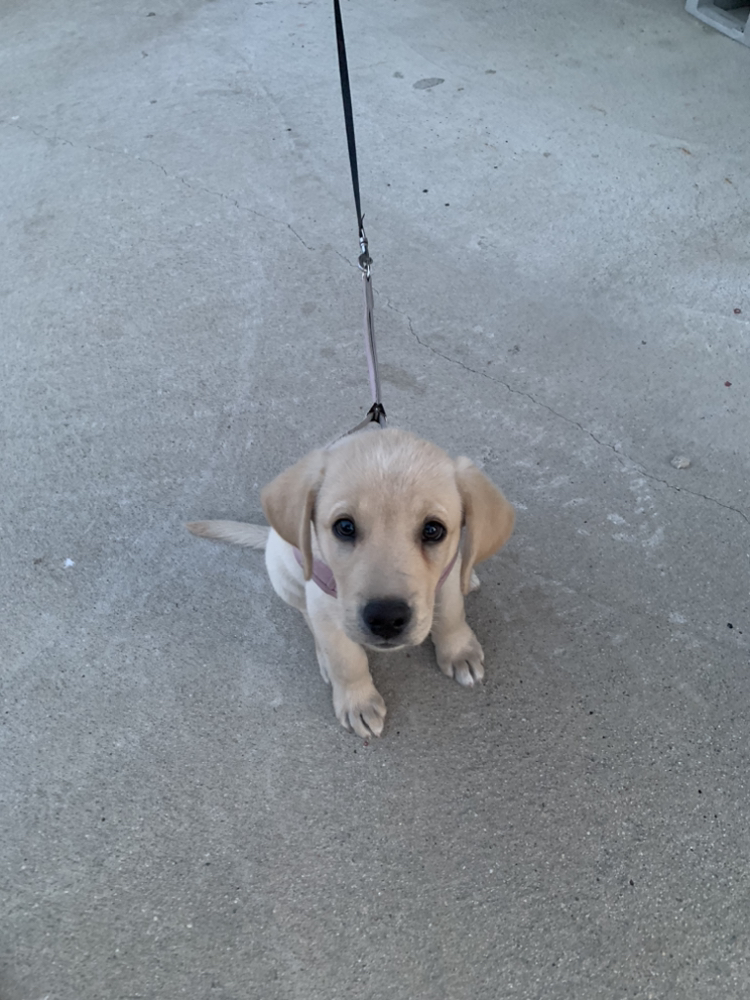 (@dmz_lee) 님의 게시물 | KREAM