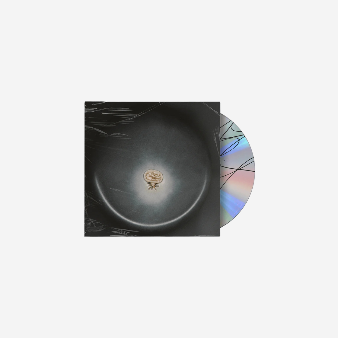 트래비스 스캇 유토피아 Cd 커버 4 Lp And Cd Kream