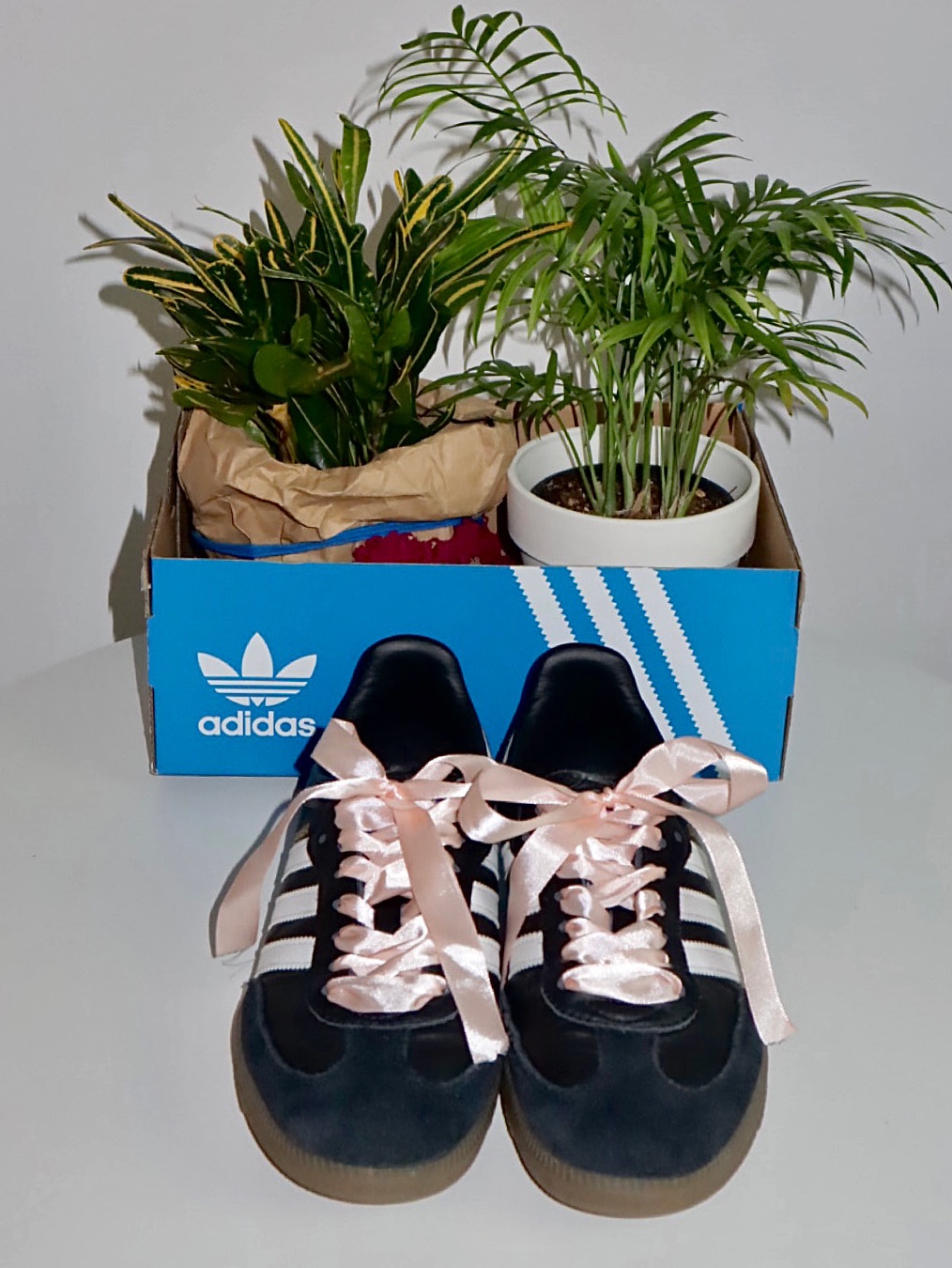 나의 samba og😭🖤 | KREAM