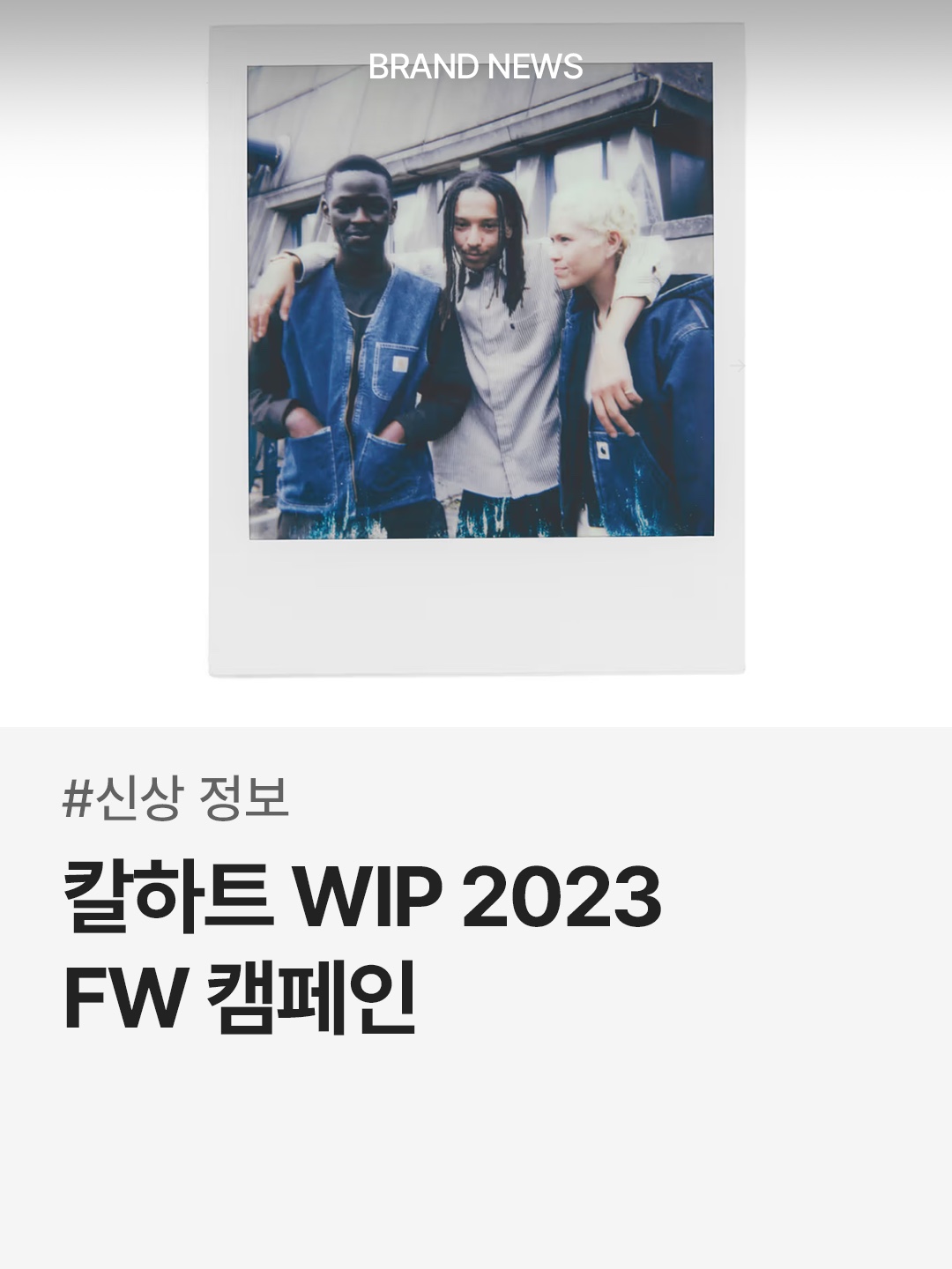 칼하트 WIP 2023 FW 캠페인 | KREAM