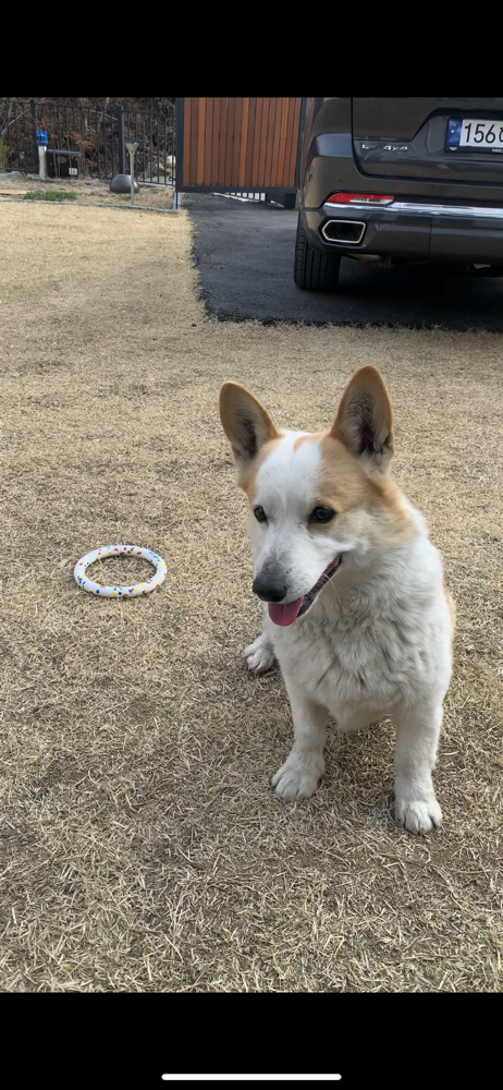 underlee78 (@cogihue) 님의 게시물 | KREAM