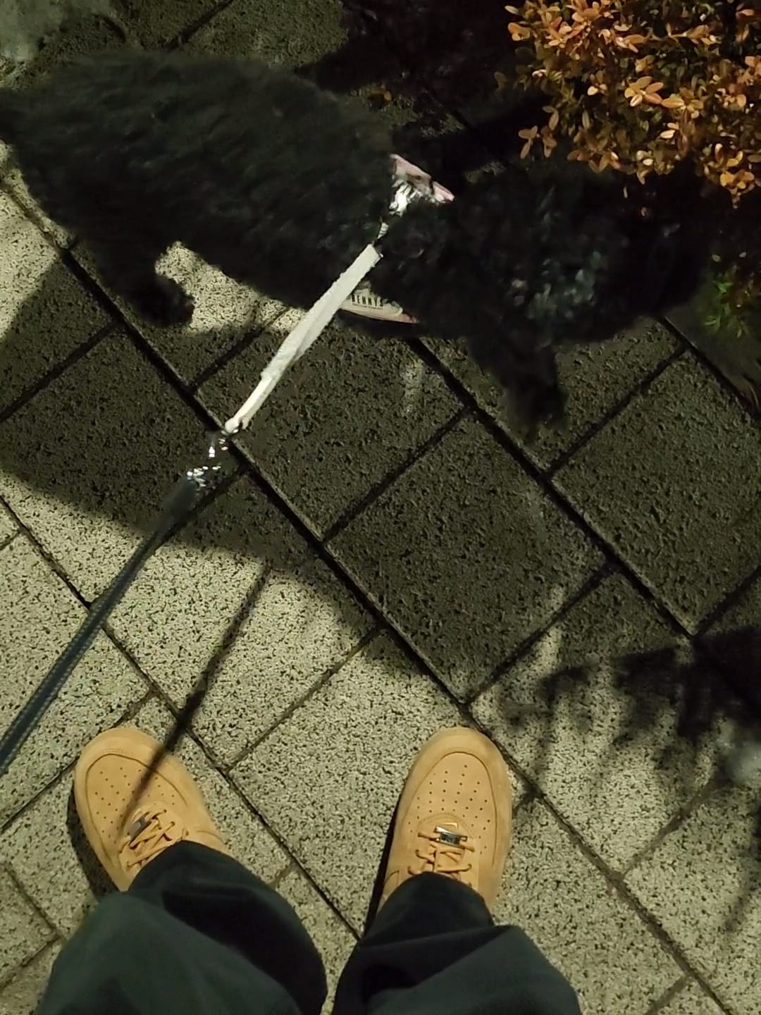 유티지 (@just.tj) 님의 게시물 | KREAM