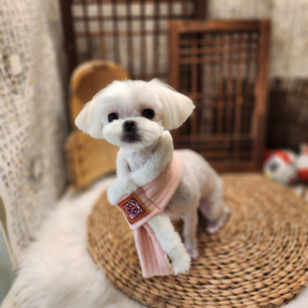 박현우 (@gamja_hy) 님의 게시물 | KREAM