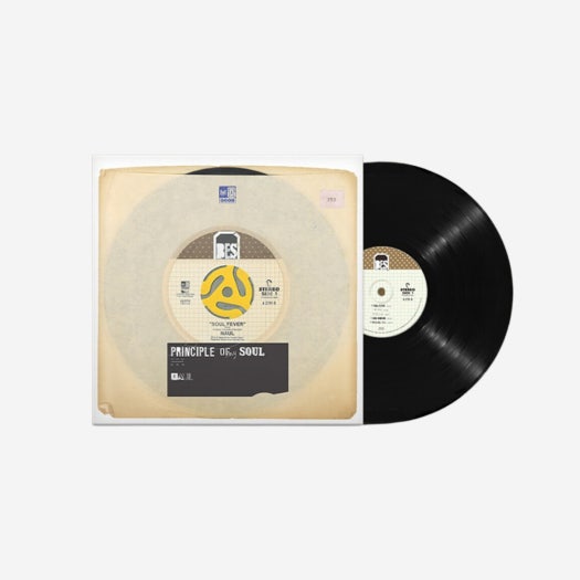 나얼 1집 프린시플 오브 마이 소울 컬러 LP (발매 10주년 기념반) | Music & Goods | KREAM