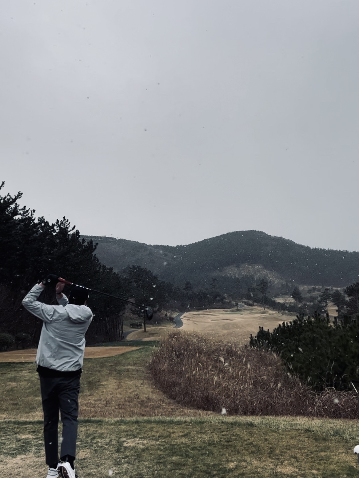 rqrq1129 (@fortis) 님의 게시물 | KREAM