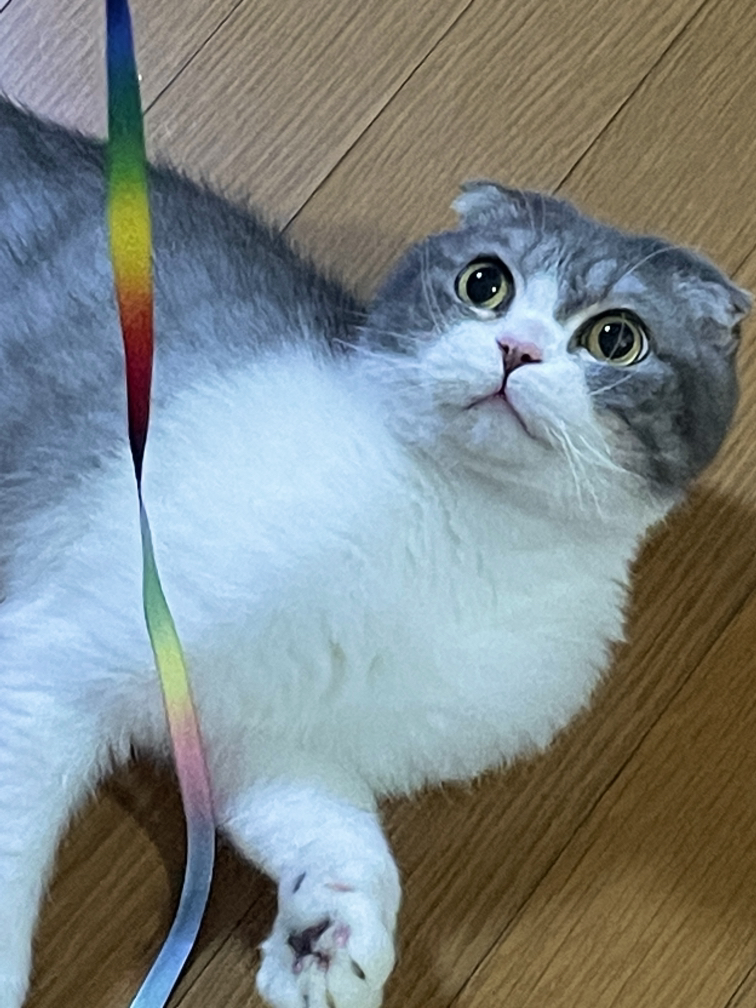 (@_______dddh) 님의 게시물 | KREAM