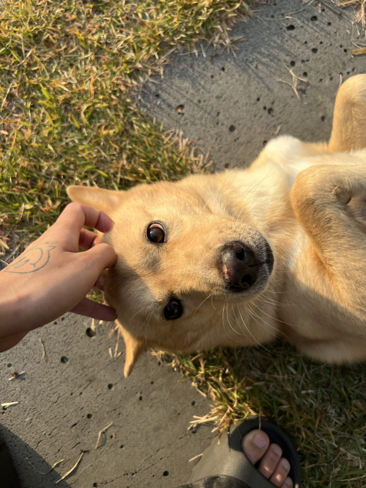 걸뱅이 (@sung_zin) 님의 태그 상품 | KREAM