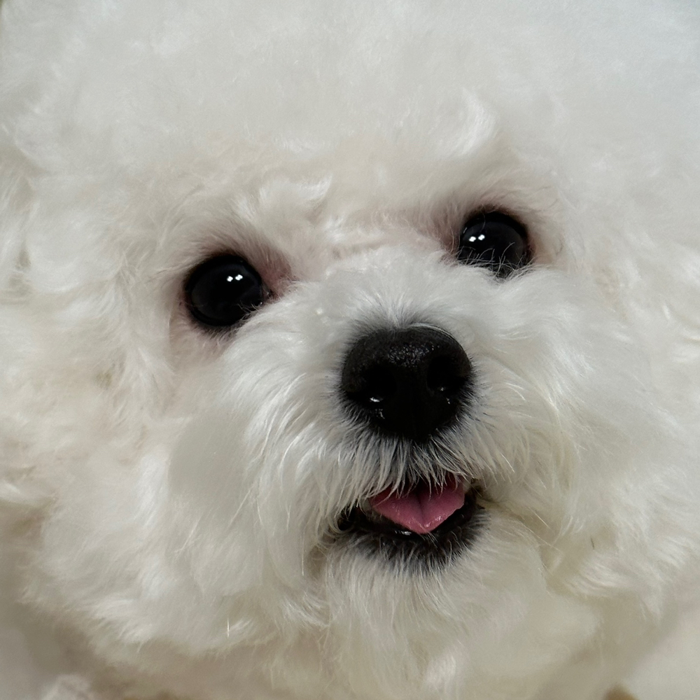 서기 (@h_seoki) 님의 게시물 | KREAM