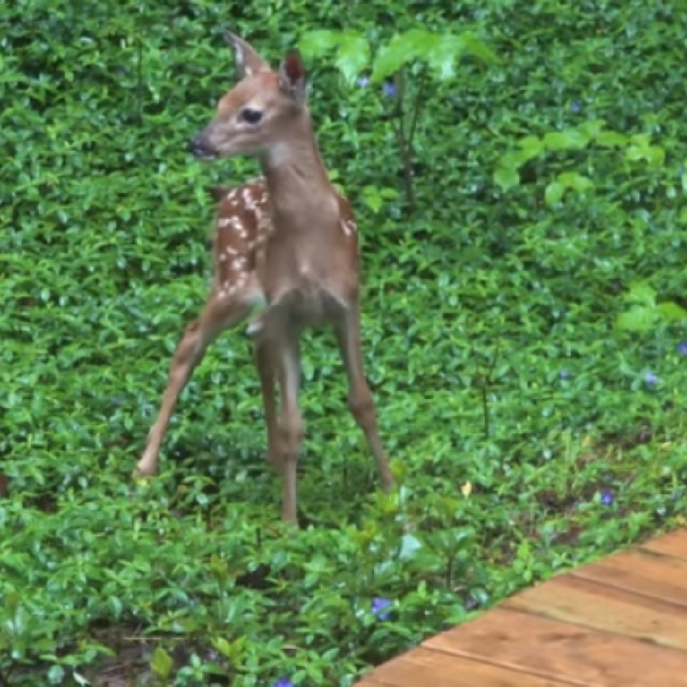 예사 (@arimata) 님의 게시물 | KREAM