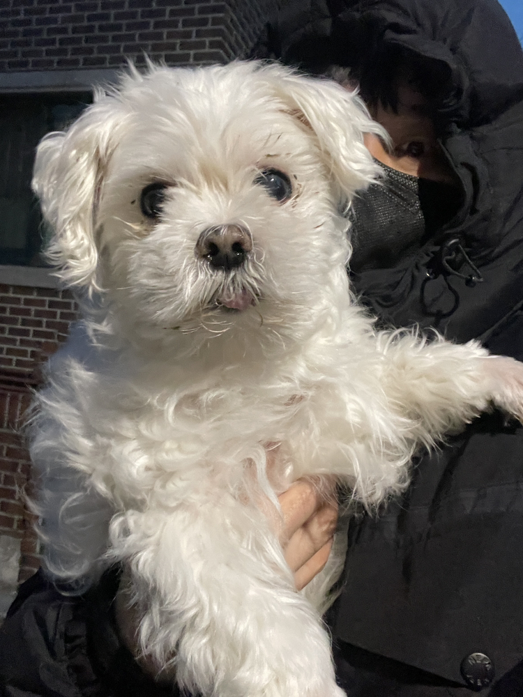 ㅇㅇㅎ (@twoyho) 님의 게시물 | KREAM