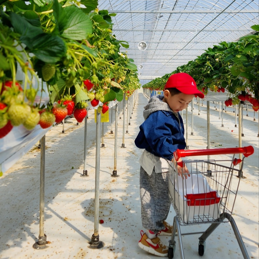 또또 (@ttotto) 님의 게시물 | KREAM