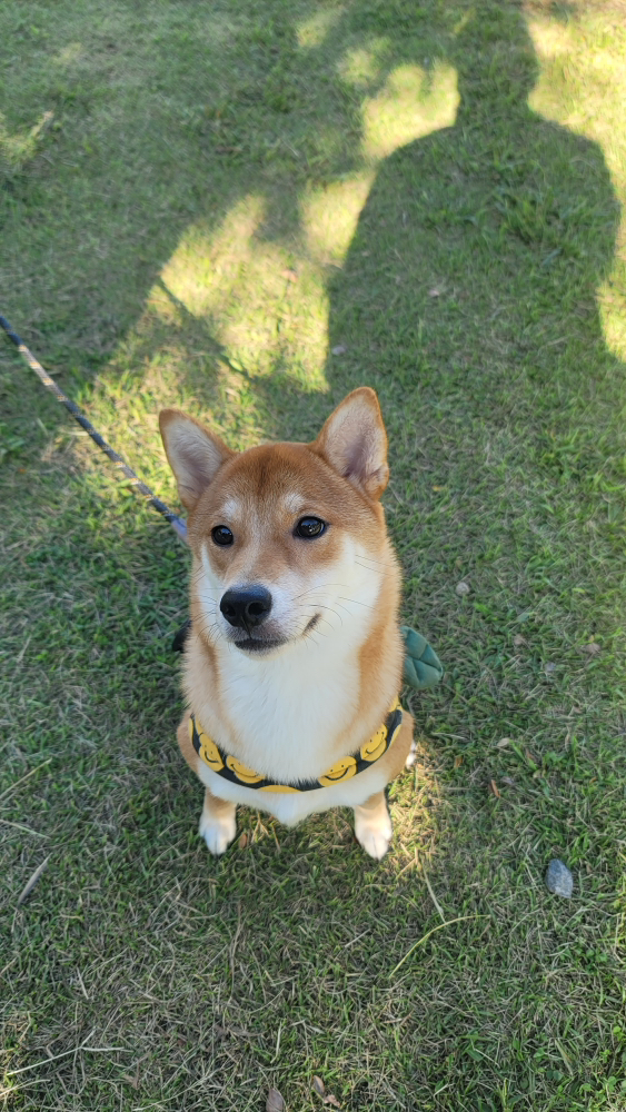 김송현 (@bbooppoo) 님의 게시물 | KREAM