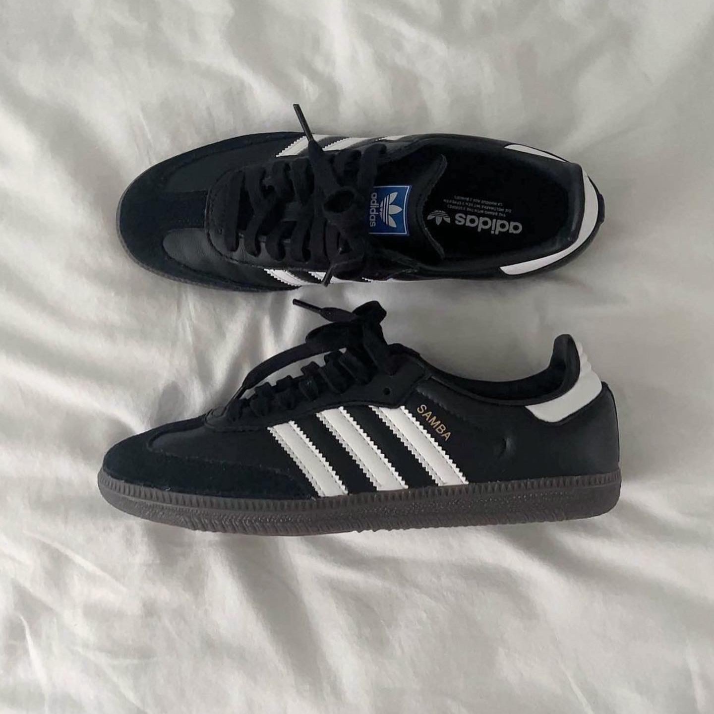 공룡 (@happy.sy) 님의 게시물 | KREAM