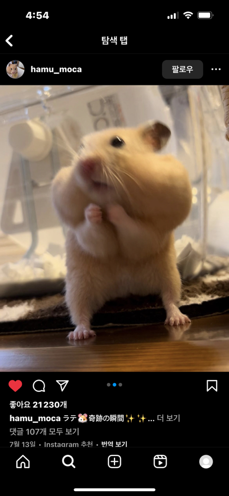 (@haundcake) 님의 게시물 | KREAM