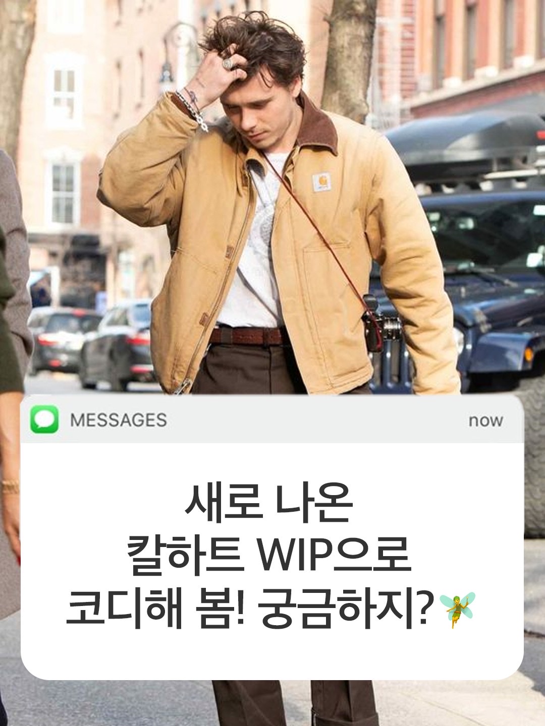 새로 나온 칼하트 WIP 코디 보러와 | KREAM