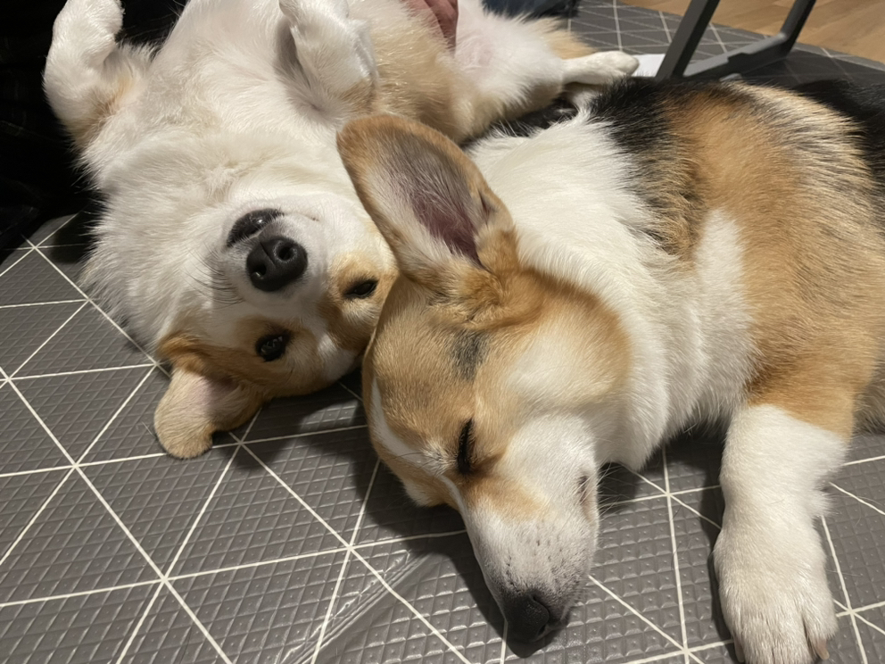 연제성 (@luke_yeon) 님의 게시물 | KREAM