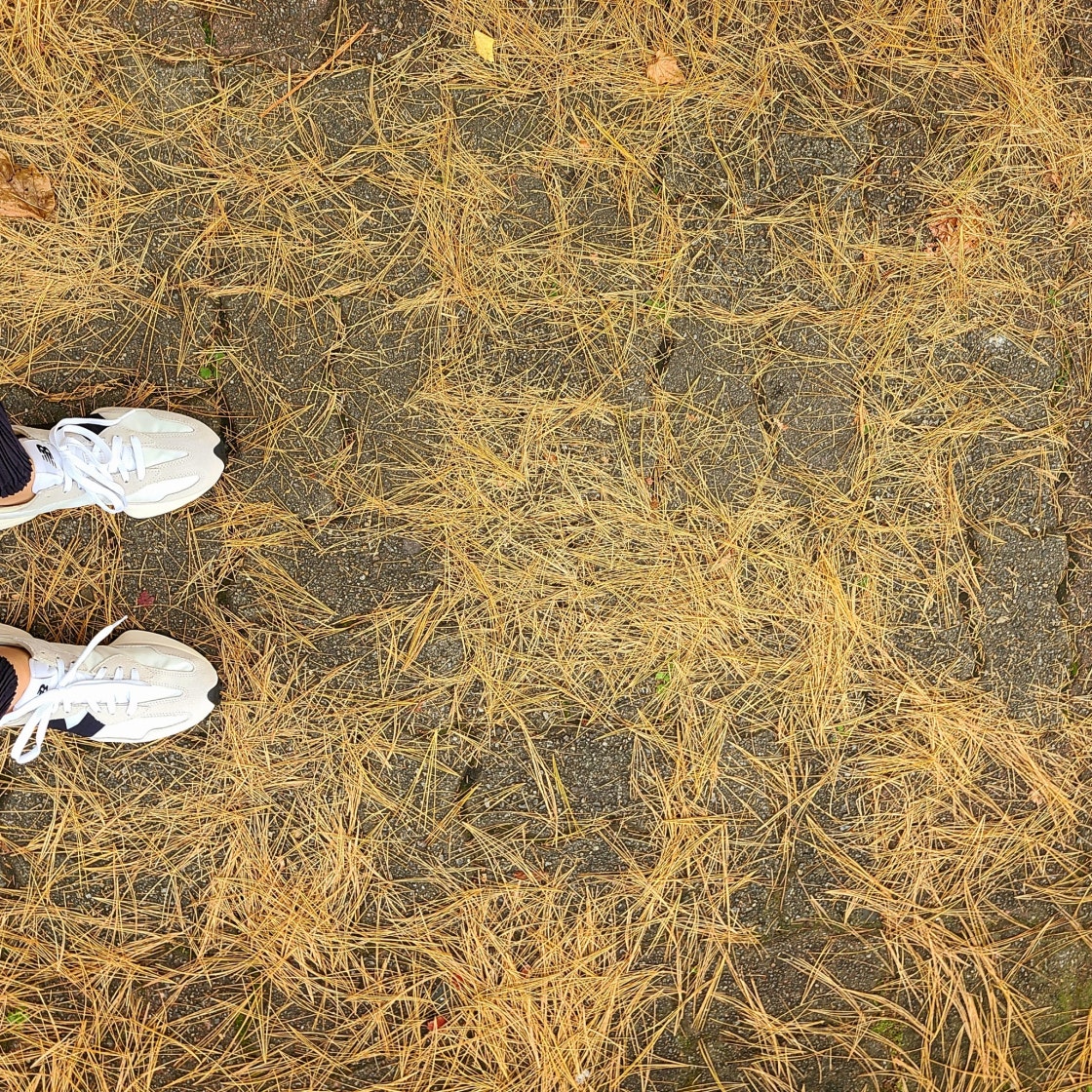 😆🖤🐑x2 | KREAM