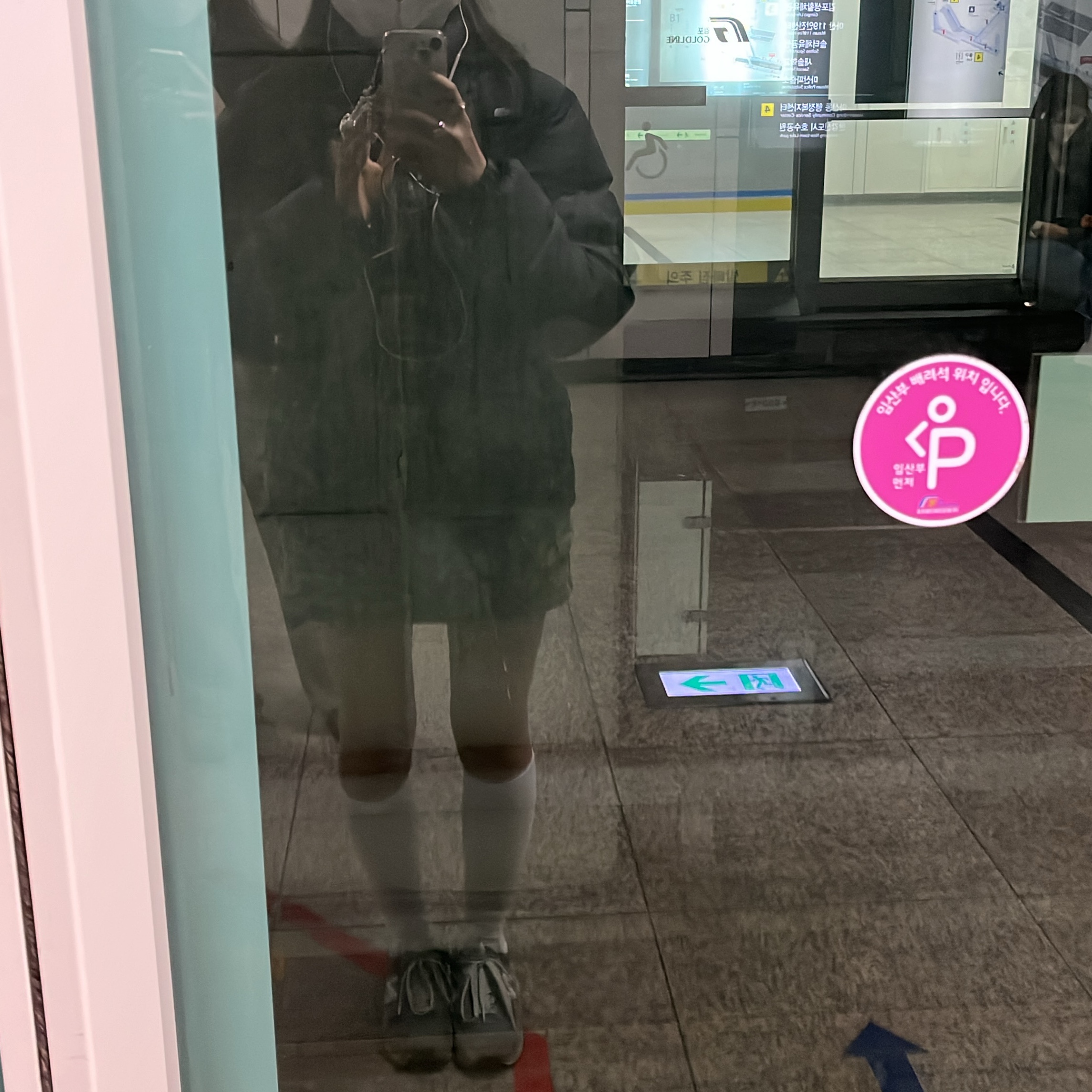 North Face Nuptse | KREAM