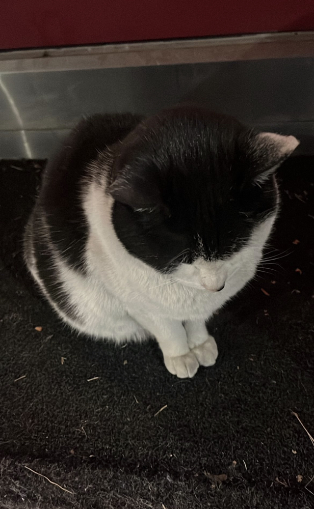 jsyuqd (@jsyuqd) 님의 게시물 | KREAM