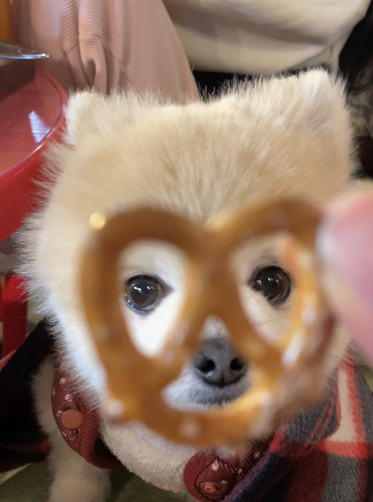 몽몽 (@se_jini) 님의 게시물 | KREAM