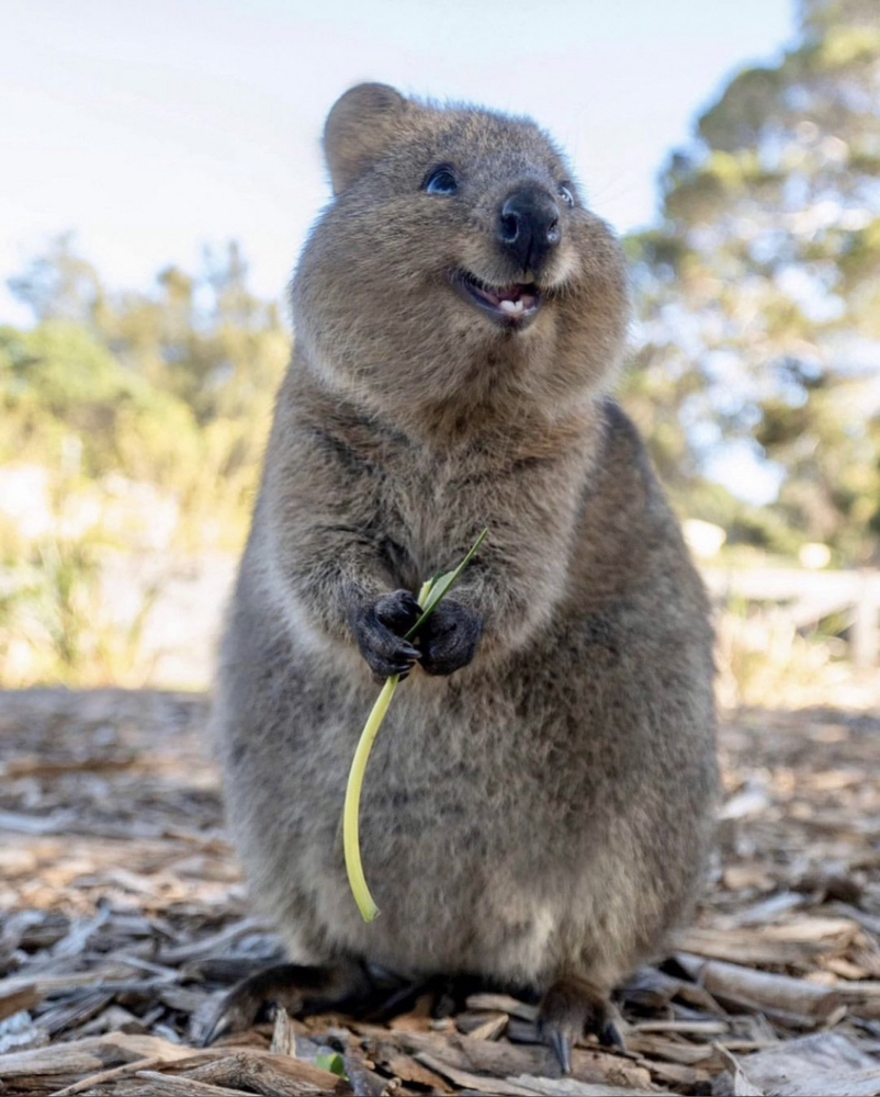 chldnjswls18 (@1w10i3) 님의 게시물 | KREAM