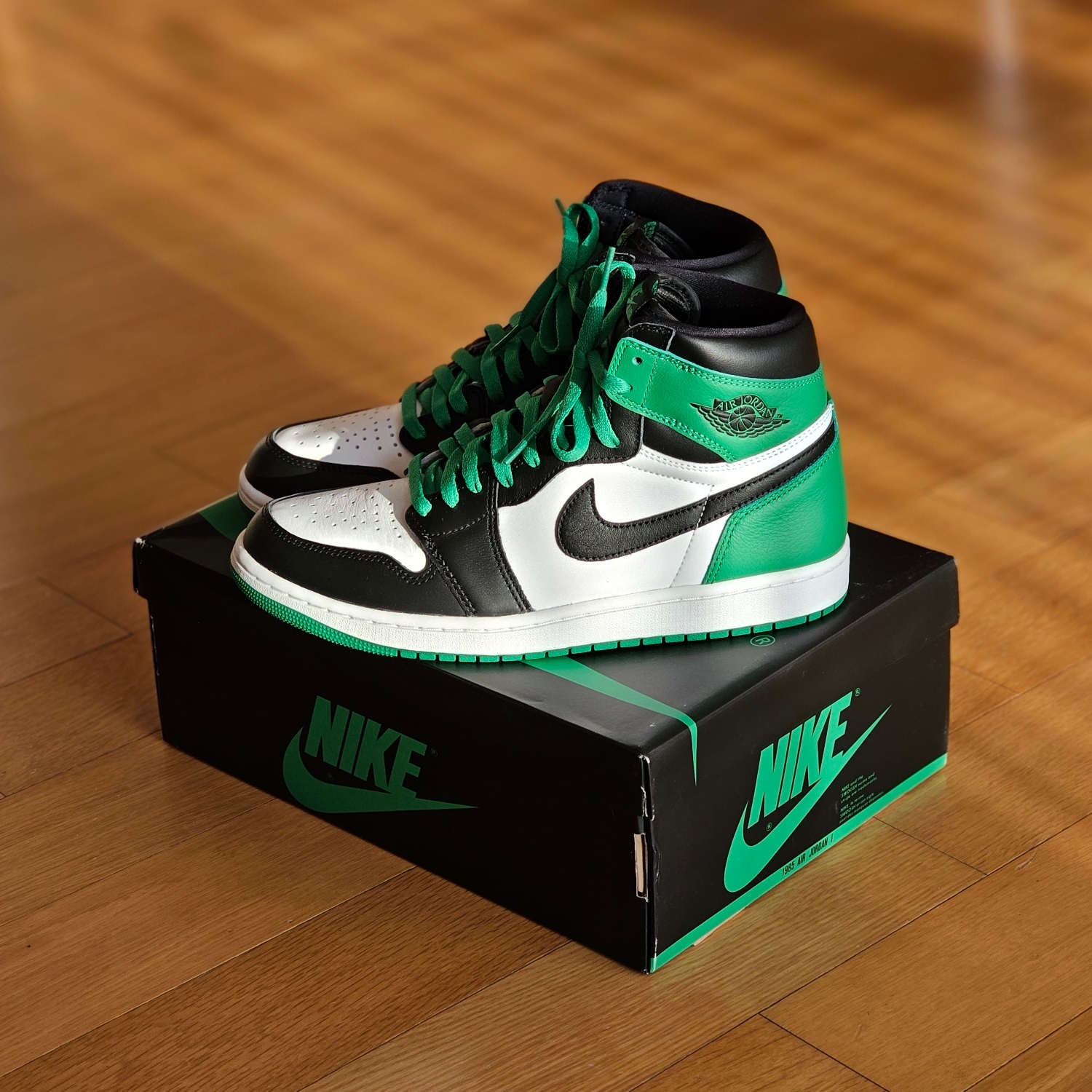 280 정사이즈 | KREAM