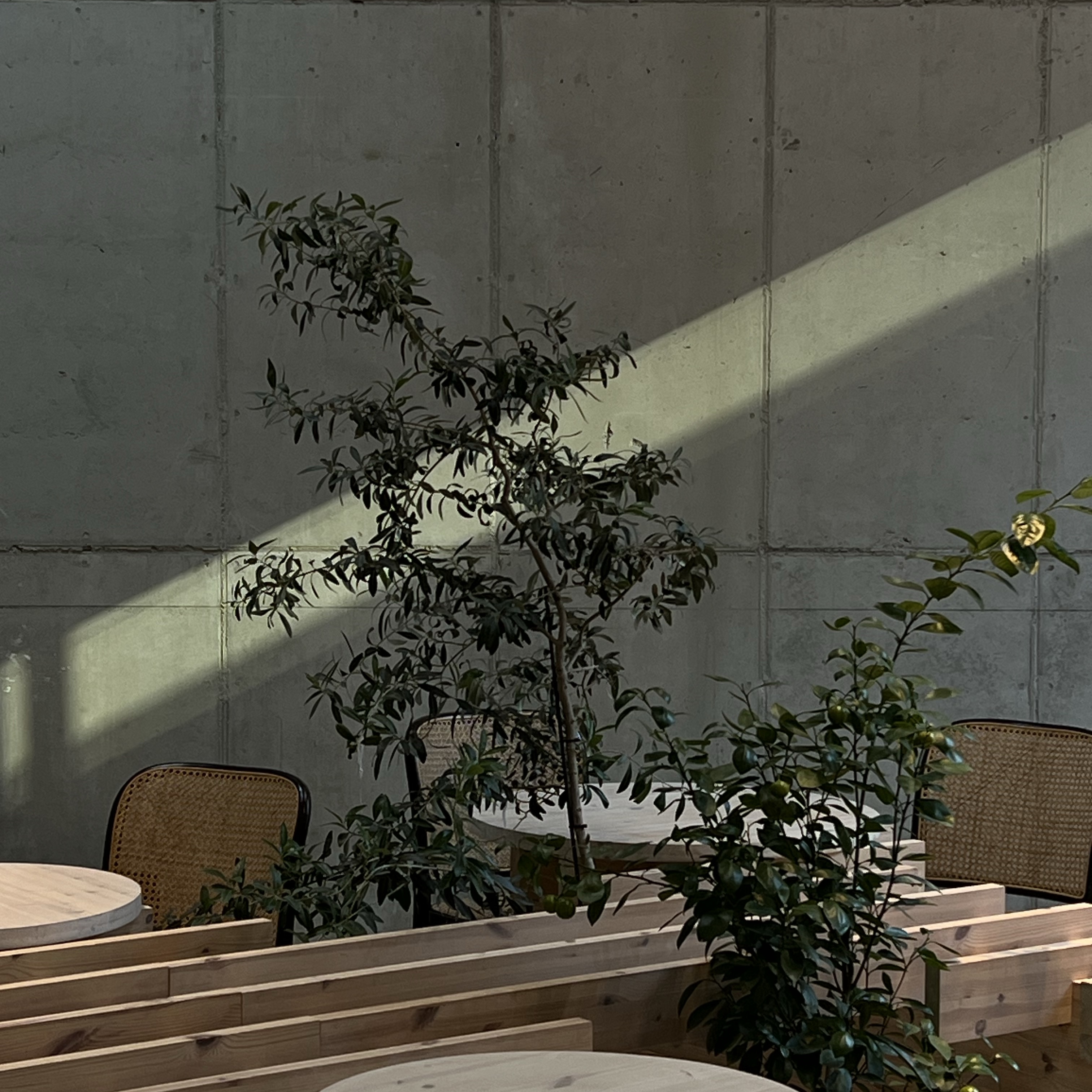 NBxSI 991 v2 UK | KREAM