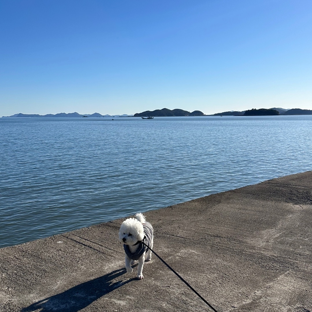 (@hakuu) 님의 게시물 | KREAM