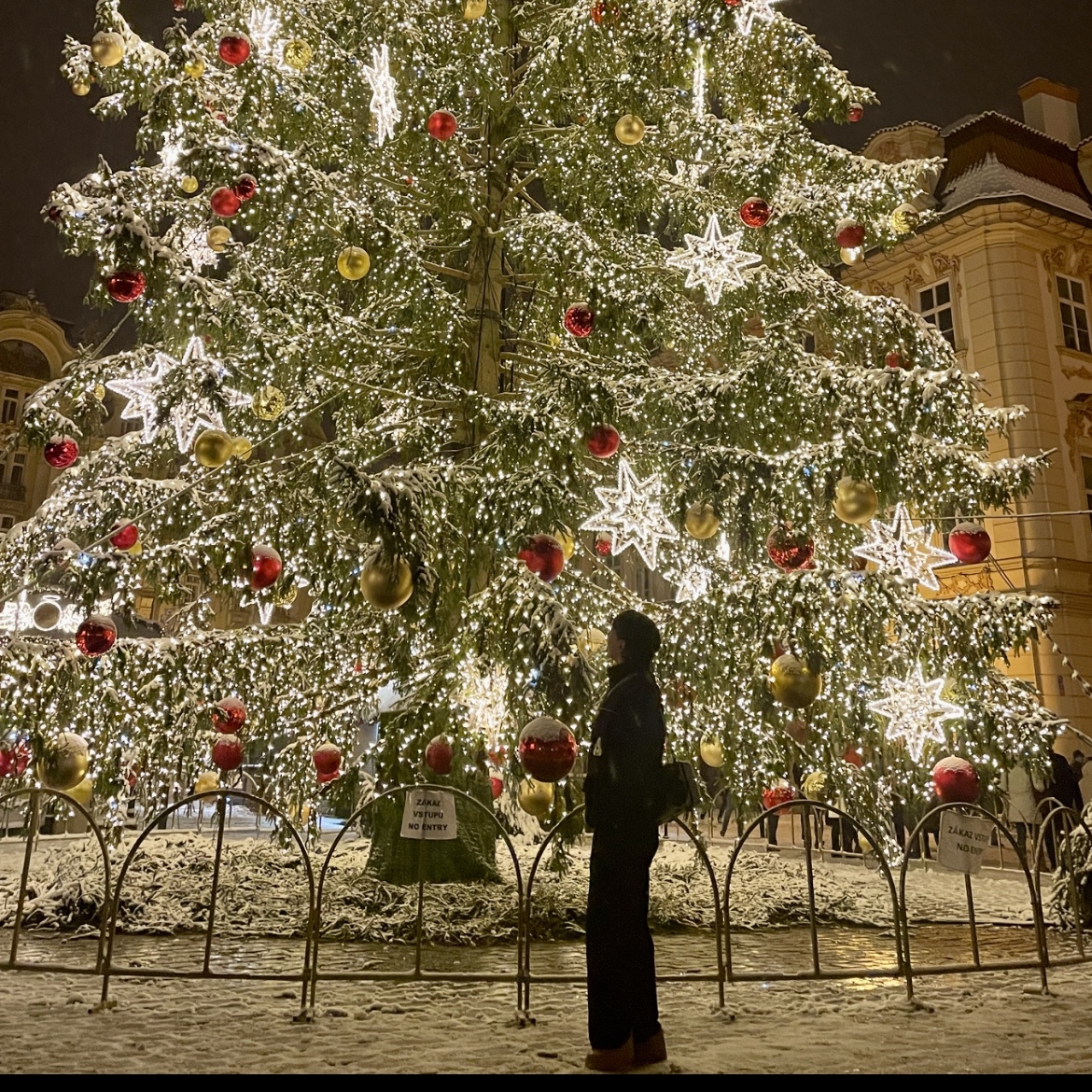 . (@_275ms) 님의 게시물 | KREAM