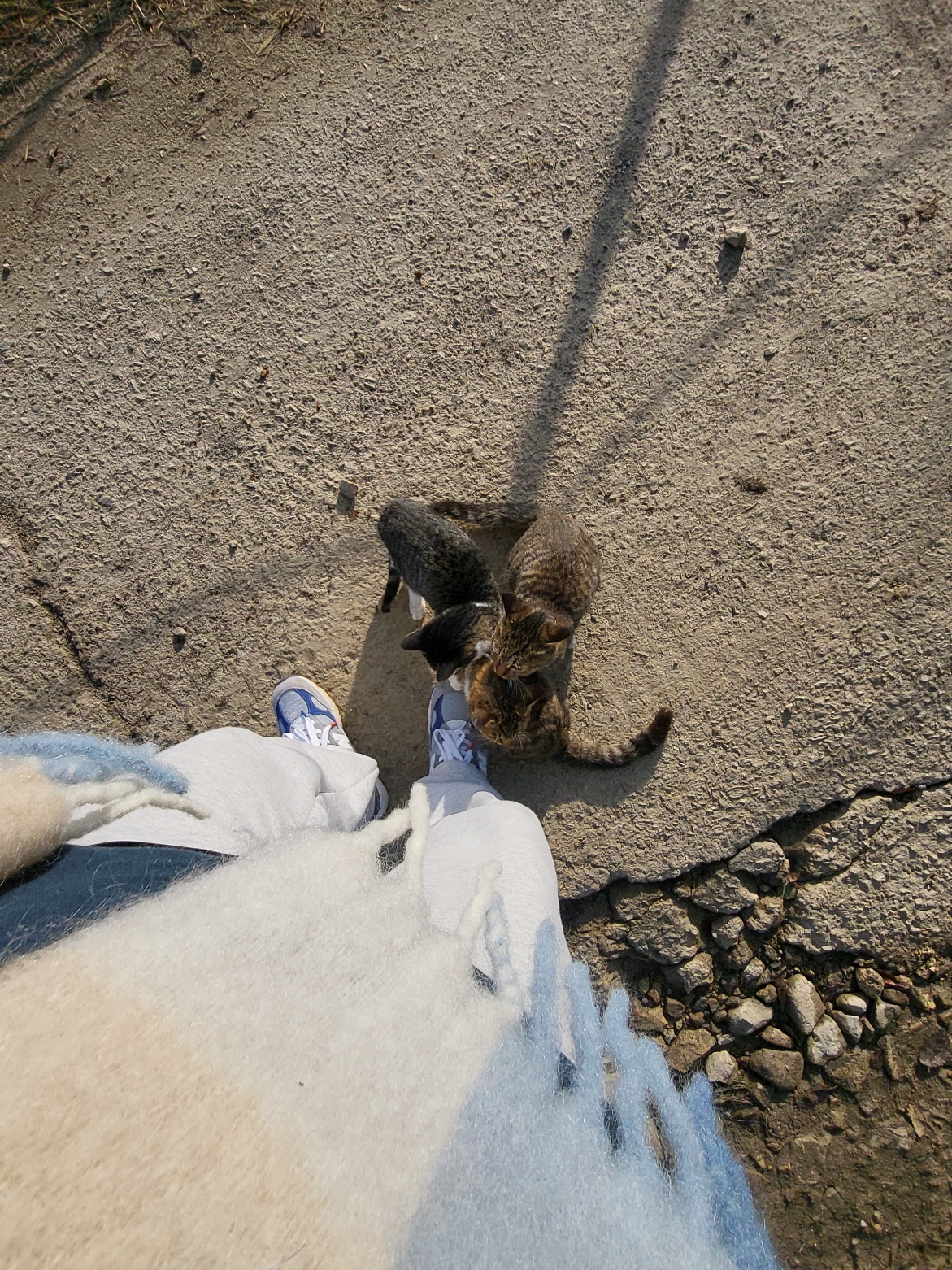 (@bumkzd) 님의 게시물 | KREAM