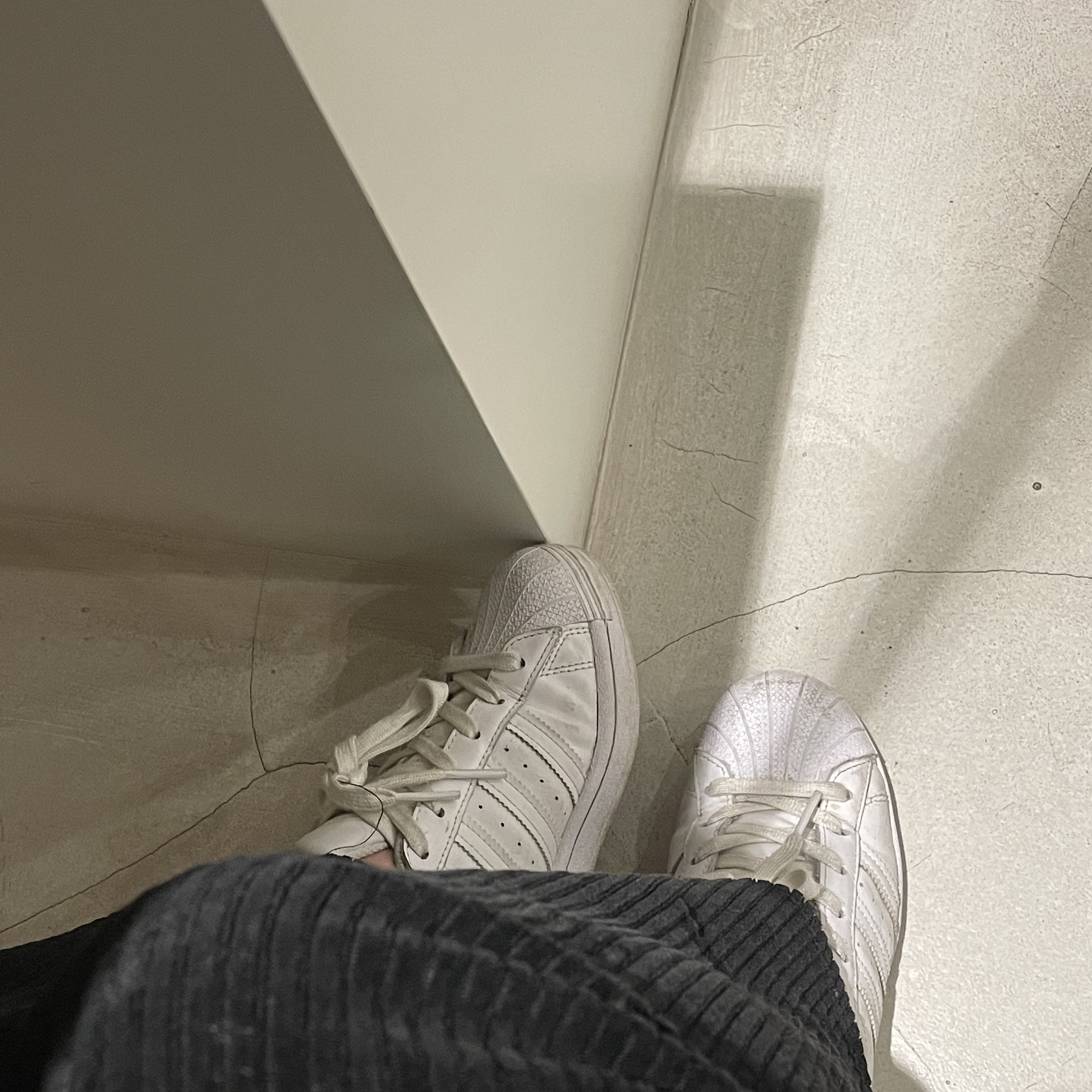 아디다스 올백 225 | KREAM