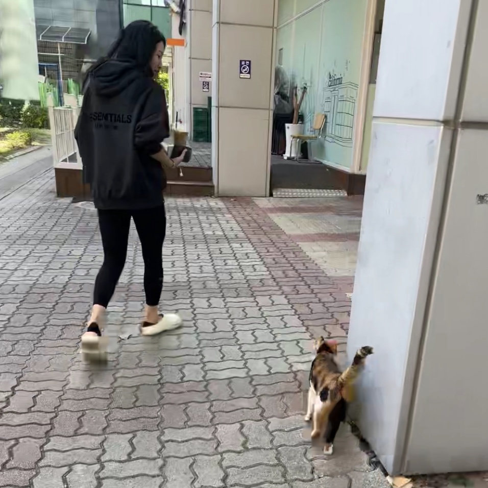 HM (@hm_512) 님의 게시물 | KREAM