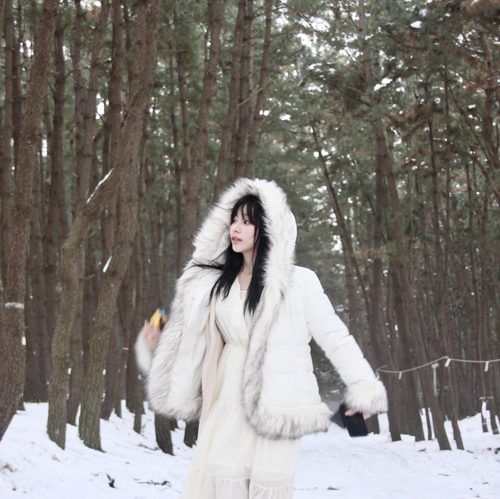 지니 (@jinihiii) 님의 게시물 | KREAM