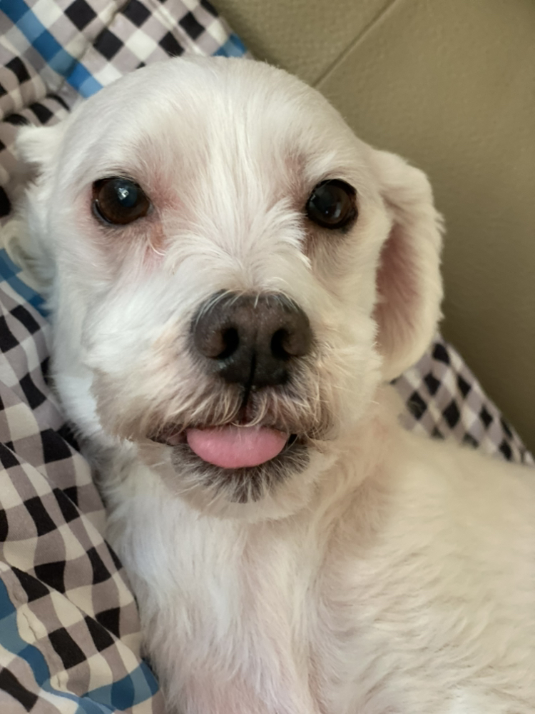 oyyyyyo (@yoon_ddo) 님의 게시물 | KREAM