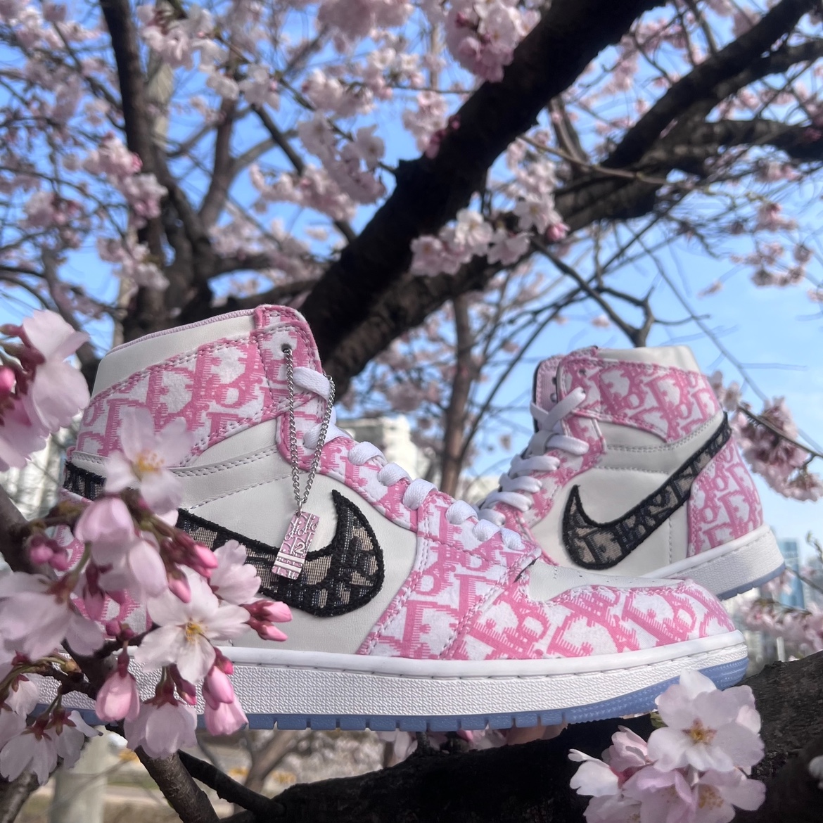 Dior jordan custom🌸 | KREAM