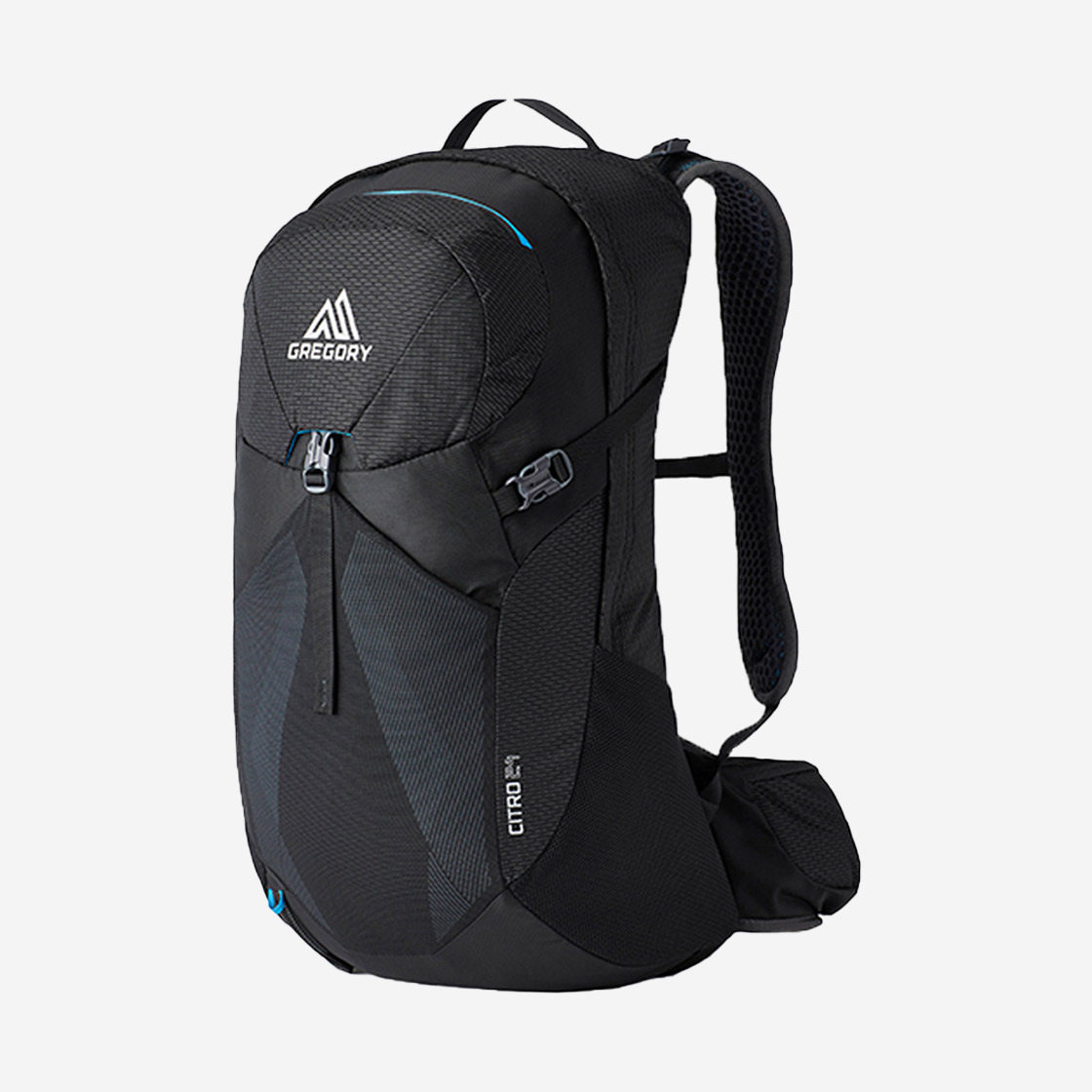 그레고리 시트로24 오존 블랙 | Gregory | KREAM