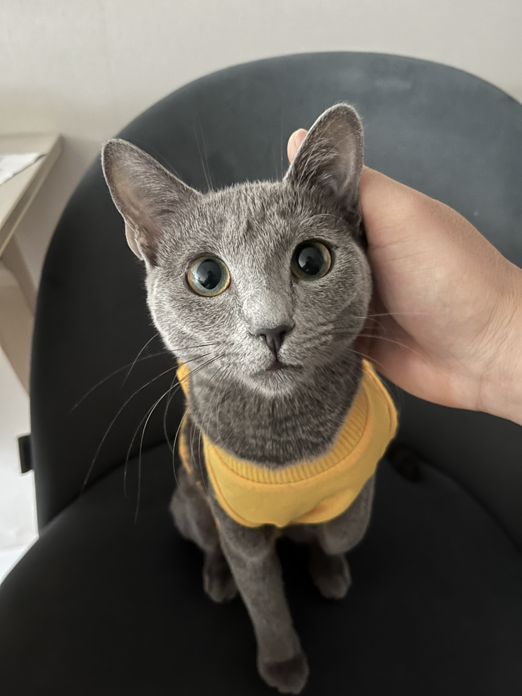 석이 (@ss_x0) 님의 게시물 | KREAM